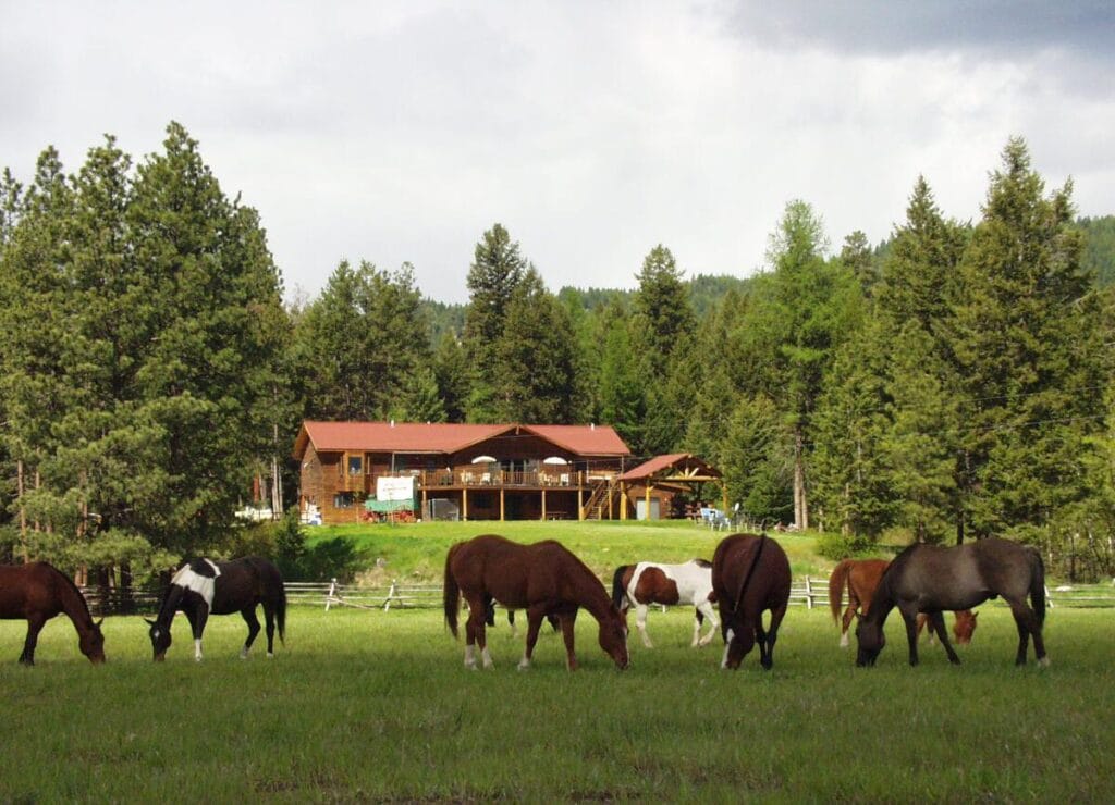 Guest Ranch - Rich Ranch
