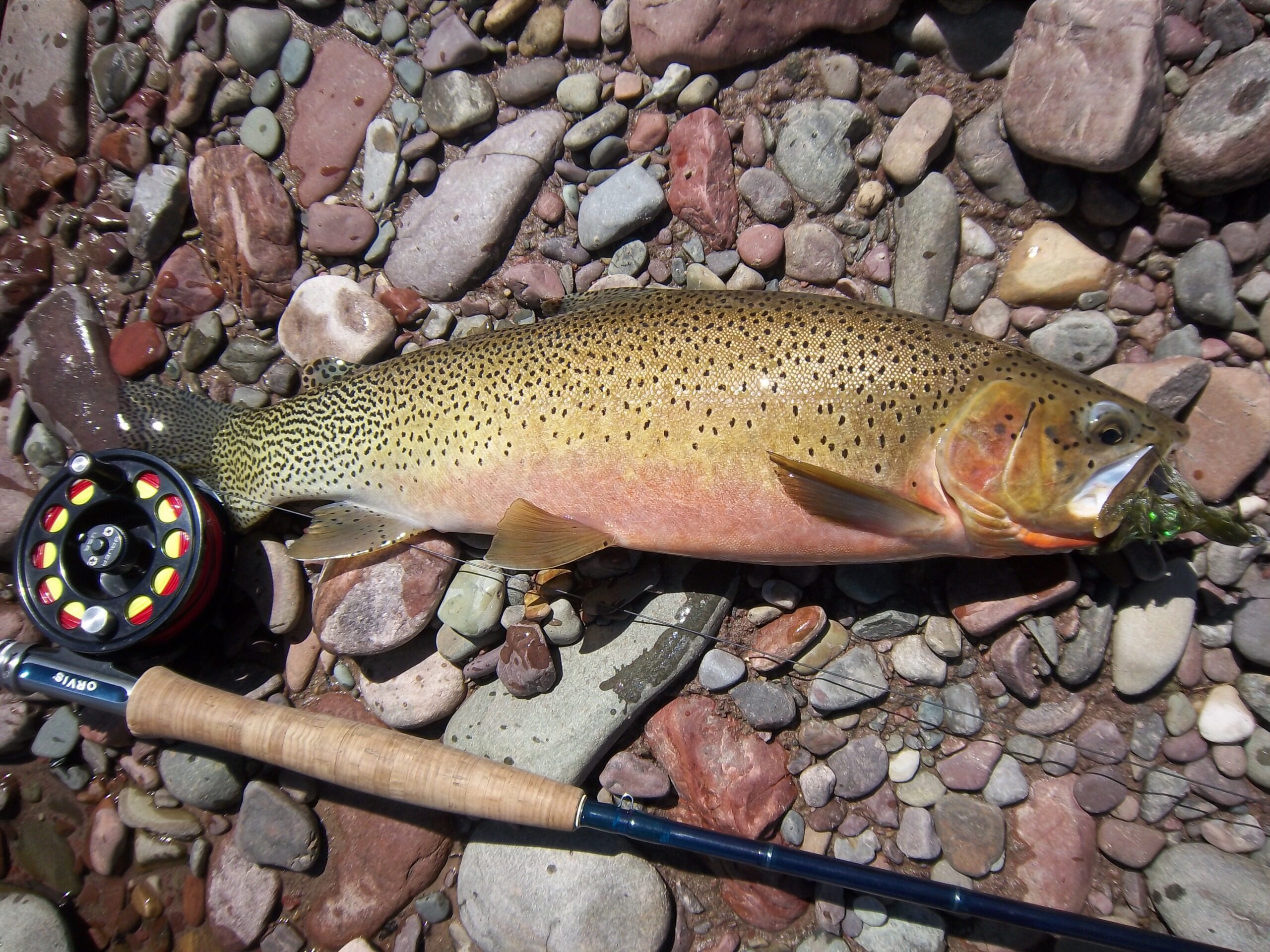Fishing - Rich Ranch